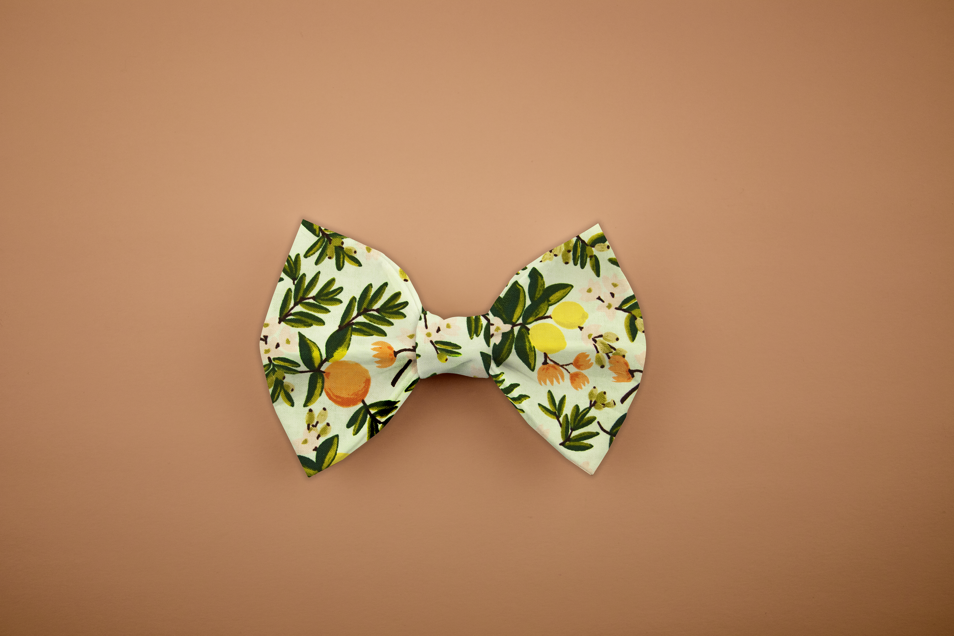 bow tie primavera