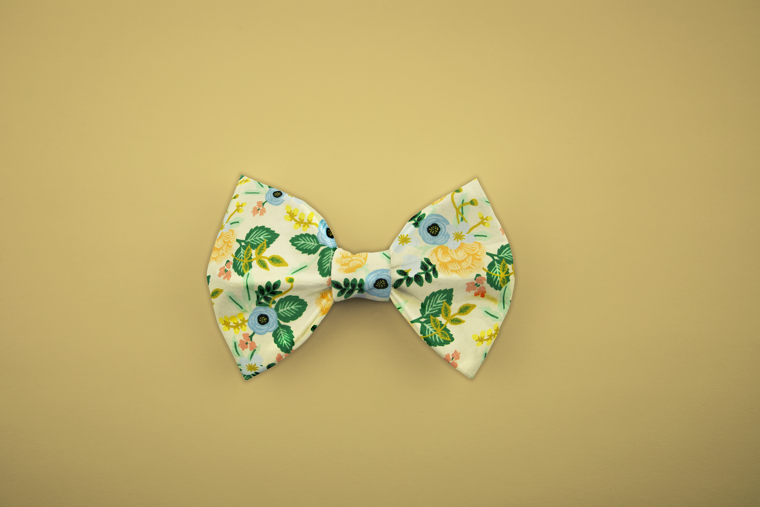 bow tie primavera